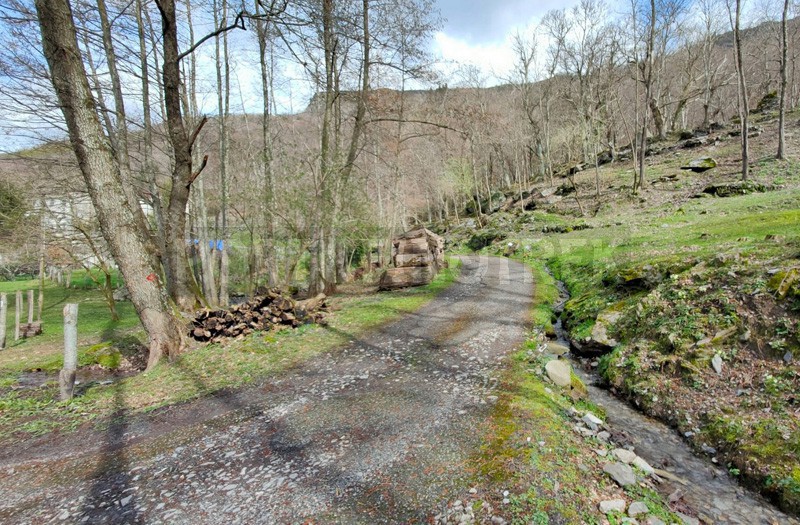 Trail ad anello da Neirone al Monte Caucaso