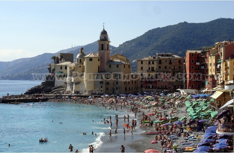 Trekking from Camogli to San Rocco di Camogli