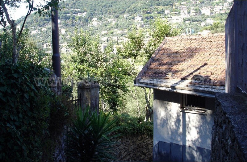 Trekking from Camogli to San Rocco di Camogli